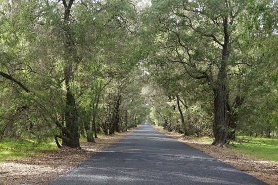 Tuart Forest National Park